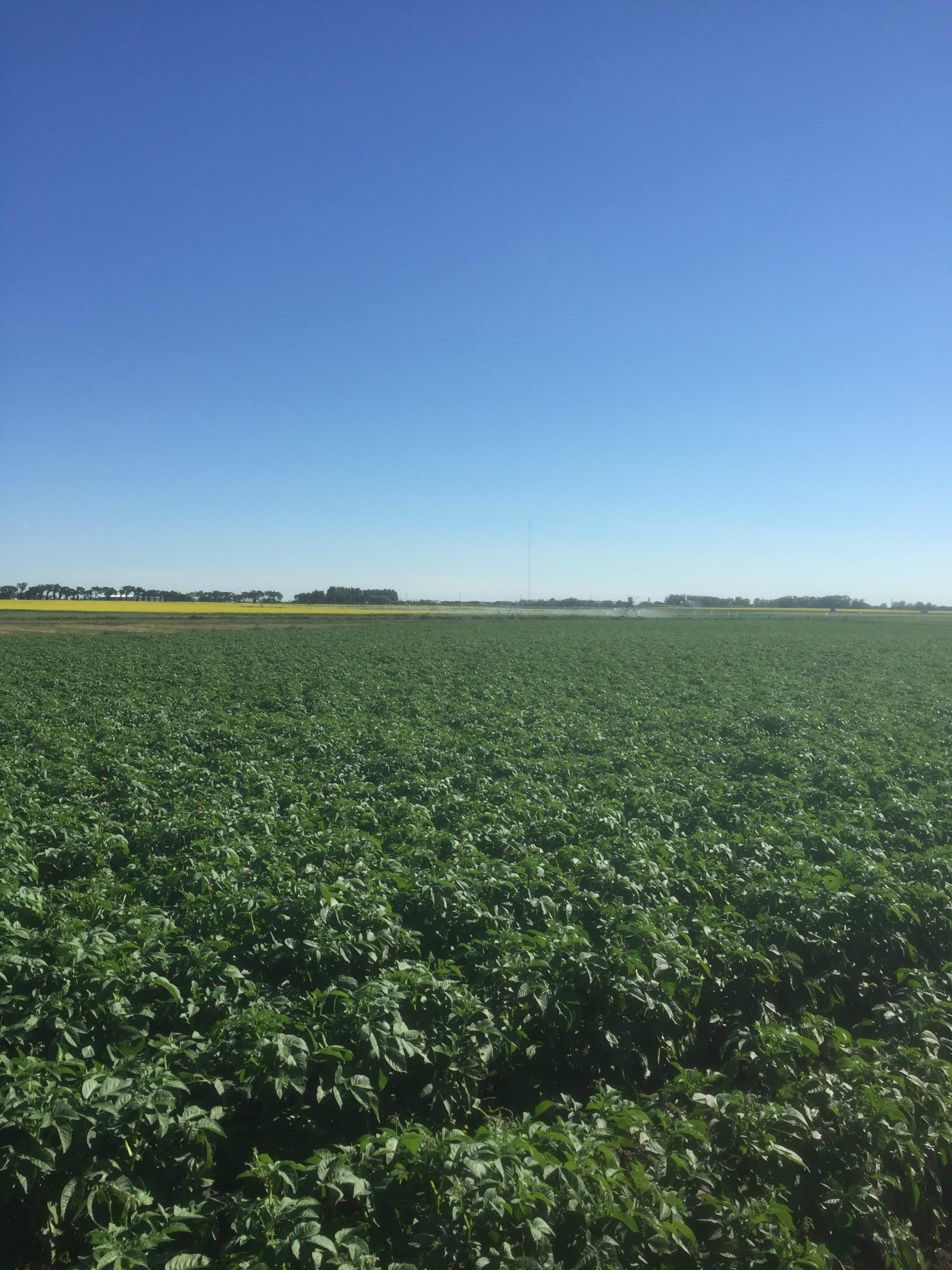 People – Sustainable Land Ecosystems